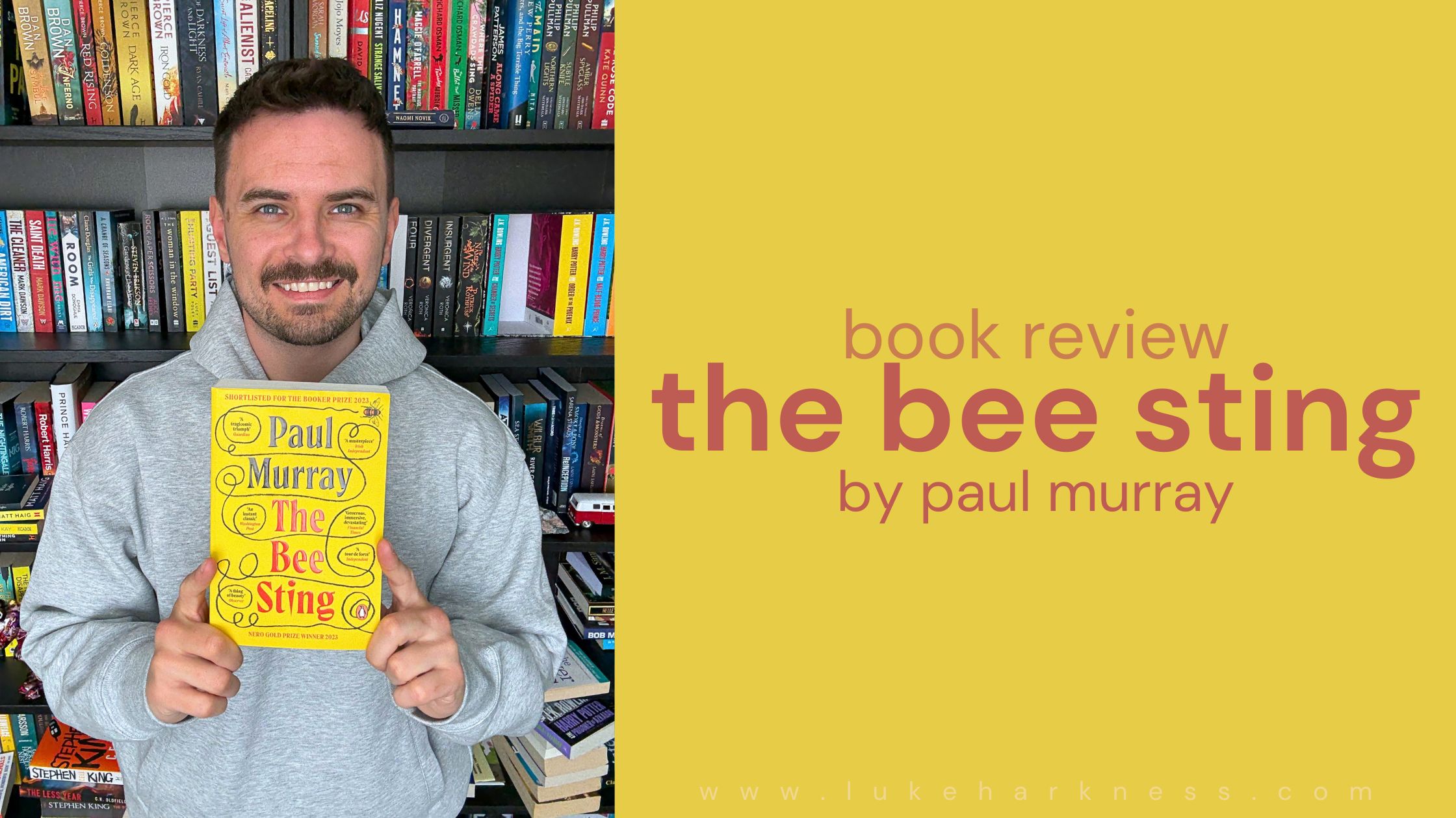 The Bee Sting by Paul Murray book review - Luke’s Blog